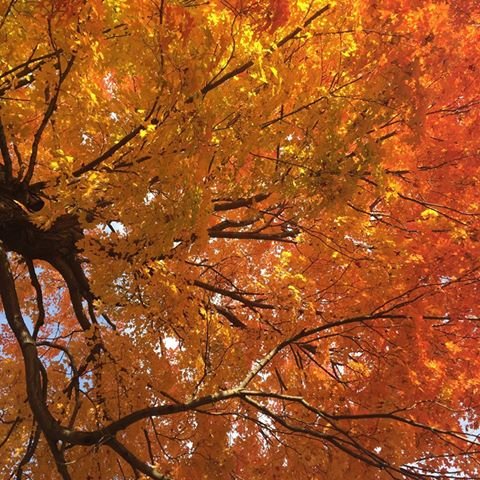 HIGHWOOD CEMETERY ASSN - Updated October 2025 - 2800 Brighton Rd ...