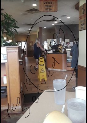 JEDI’S GARDEN - Updated June 2025 - 44 Photos & 131 Reviews - 444 W ...