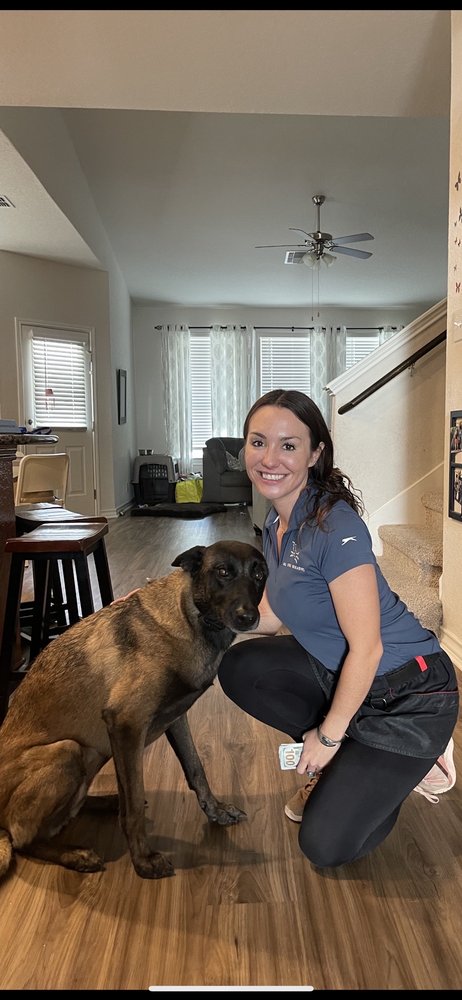 ALL DOGS UNLEASHED - Updated September 2025 - 11 Reviews - 1150 N Loop ...