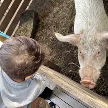 HAPPI FARM - Updated September 2025 - 367 Photos & 150 Reviews - 10251 ...