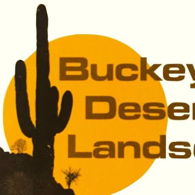 BUCKEYE DESERT LANDSCAPE - Updated June 2026 - Arlington, Arizona ...