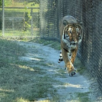 VIRGINIA ZOO - Updated August 2025 - 1605 Photos & 259 Reviews - 3500 ...