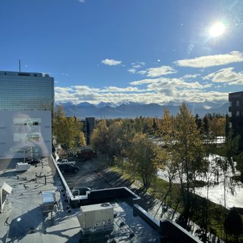 ALOFT ANCHORAGE - Updated March 2025 - 31 Photos & 25 Reviews - 310 ...