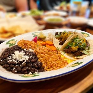 MONKEYIN AROUND - Updated September 2025 - 89 Photos & 58 Reviews ...