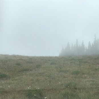 HURRICANE RIDGE - Updated June 2024 - 432 Photos & 97 Reviews - 600 E ...