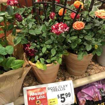 SHOPRITE OF PARAMUS - Updated November 2025 - 262 Photos & 66 Reviews ...