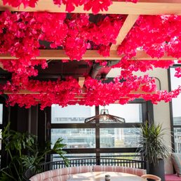 LUCHA ROSA ROOFTOP BAR - Updated June 2025 - 267 Photos & 115 Reviews ...