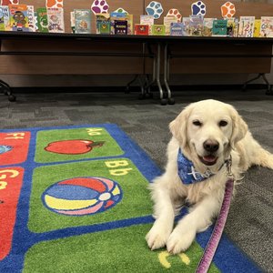 SOUTHEAST REGIONAL LIBRARY - Updated June 2024 - 43 Photos & 66 Reviews ...