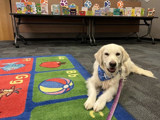 IRONWOOD LIBRARY - Updated December 2025 - 16 Photos & 29 Reviews ...