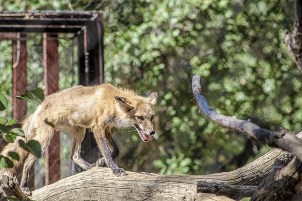 TURTLE BAY EXPLORATION PARK - Updated January 2026 - 591 Photos & 177 ...