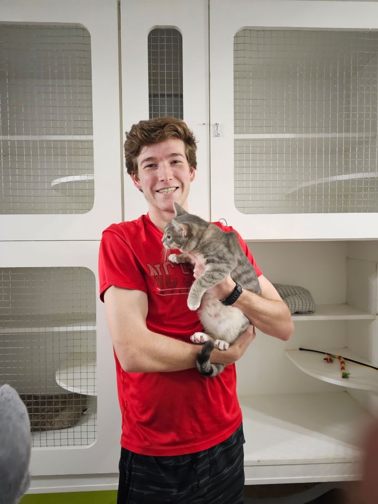 HAPPY CATS RETREAT - Updated July 2025 - 175 Photos - 200 Caley Wilson ...