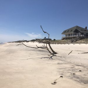 DEEP HOLLOW RANCH BEACH & TRAIL RIDES - Updated June 2024 - 78 Photos ...