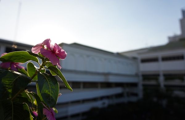 DE LA SALLE-COLLEGE OF SAINT BENILDE - Updated December 2025 - 2544 ...