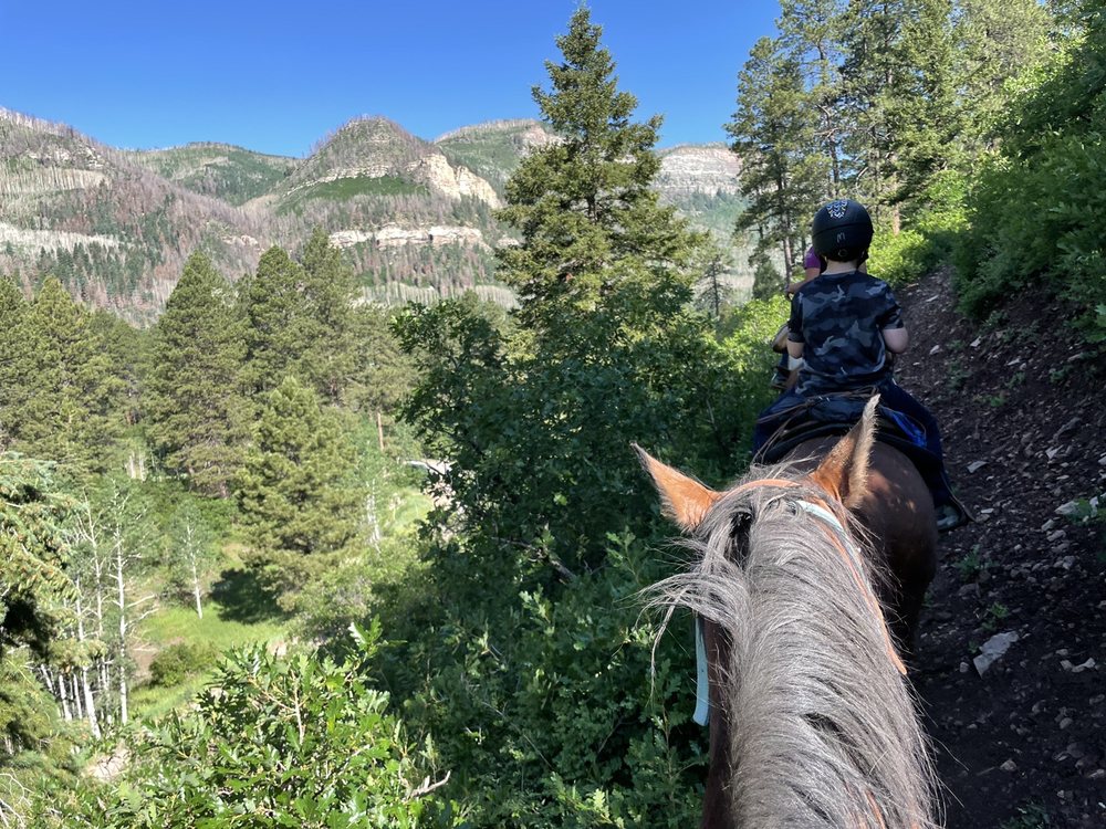 RAPP CORRAL - Updated June 2025 - 28 Photos & 44 Reviews - 51 Haviland ...