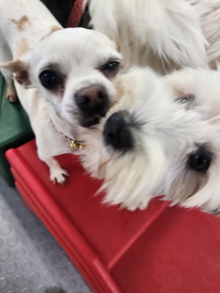 BAY VIEW BARK - Updated October 2025 - 212 Photos & 43 Reviews - 1820 S ...