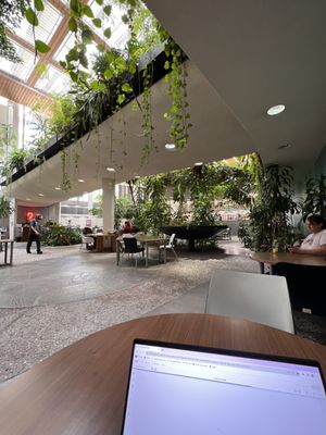 DOWNTOWN RENO LIBRARY - Updated May 2025 - 84 Photos & 35 Reviews - 301 ...