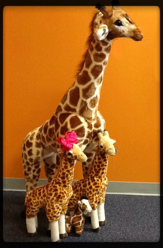 KB LEARNING CENTER - Updated November 2025 - 19 Photos - 1602 Ford Ave ...