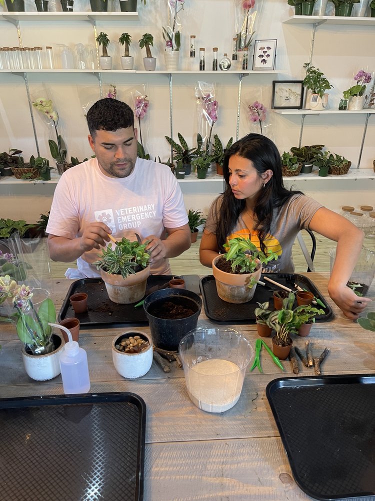 TERRA BOTANICAL STUDIO - Updated December 2025 - 33 Photos - 115 Martha ...