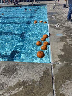 WALTER GRAHAM AQUATIC CENTER - 68 Photos & 30 Reviews - 1100 Alamo Dr ...