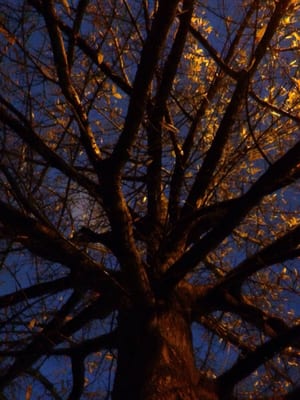 CHEATHAM ANNEX YORKTOWN NAVAL WEAPONS STATION - Updated August 2025 ...