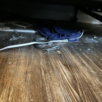 COMPASS ROSE STUDENT HOUSING - Updated December 2025 - 920 Harding St ...