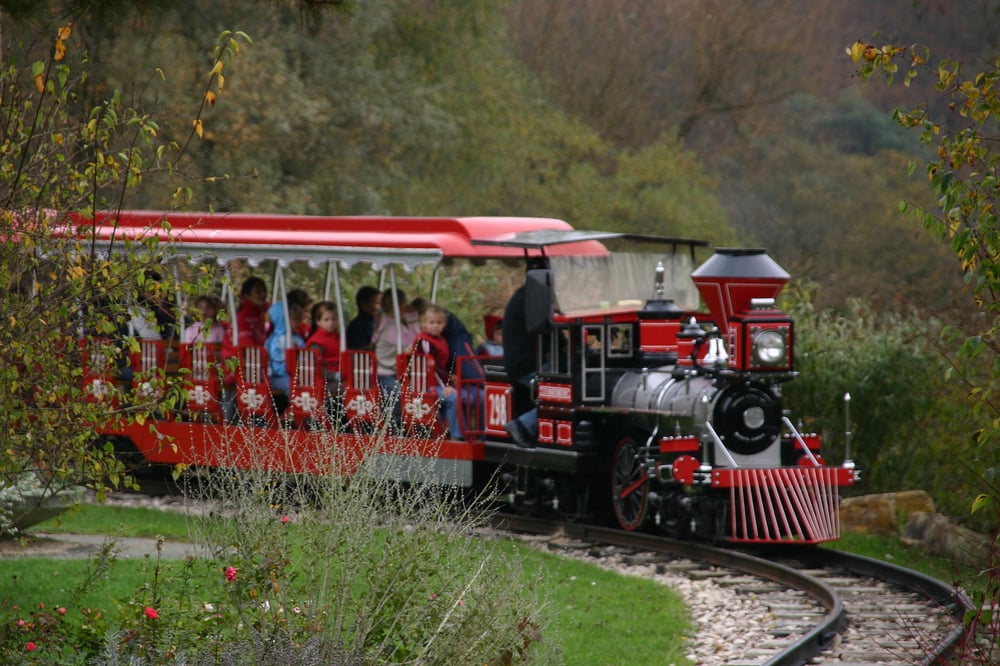 WILD- UND FREIZEITPARK ALLENSBACH - 35 Photos & 13 Reviews - Gemeinmärk ...