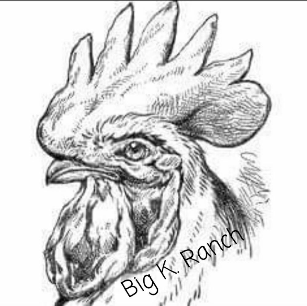 BIG K RANCH - Updated April 2025 - 198 NW Skidmore Ln, Scammon, Kansas ...