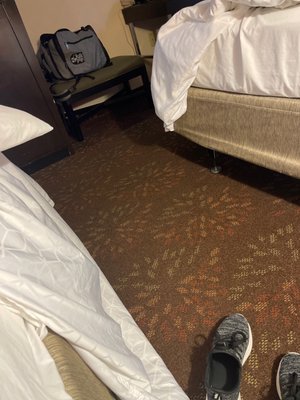 HOLIDAY INN EXPRESS FRAZER-MALVERN - Updated August 2025 - 32 Photos ...