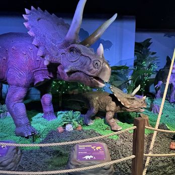 DINOSAUR OUTPOST - Updated July 2025 - 32 Photos & 19 Reviews - 6569 S ...