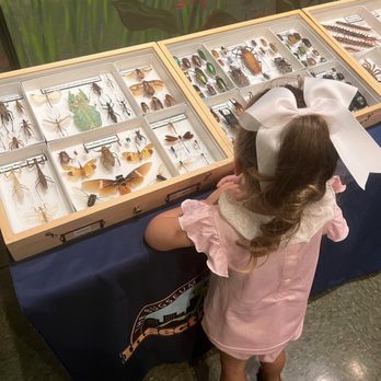 About - Insectropolis