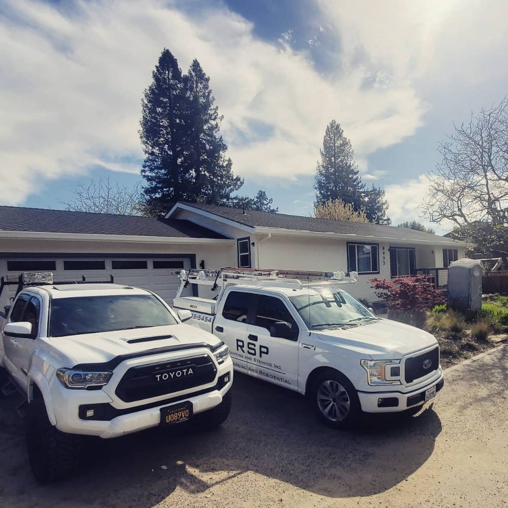 RSP PAINTING AND STAINING - Updated March 2025 - 47 Photos - Sebastopol ...
