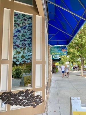 AQUARIUM & SHARK LAB BY TEAM ECCO - 42 Photos & 18 Reviews - 511 N Main ...