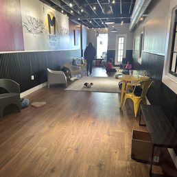 MAC TABBY CAT CAFE - Updated December 2025 - 28 Photos - 103 S Main ...