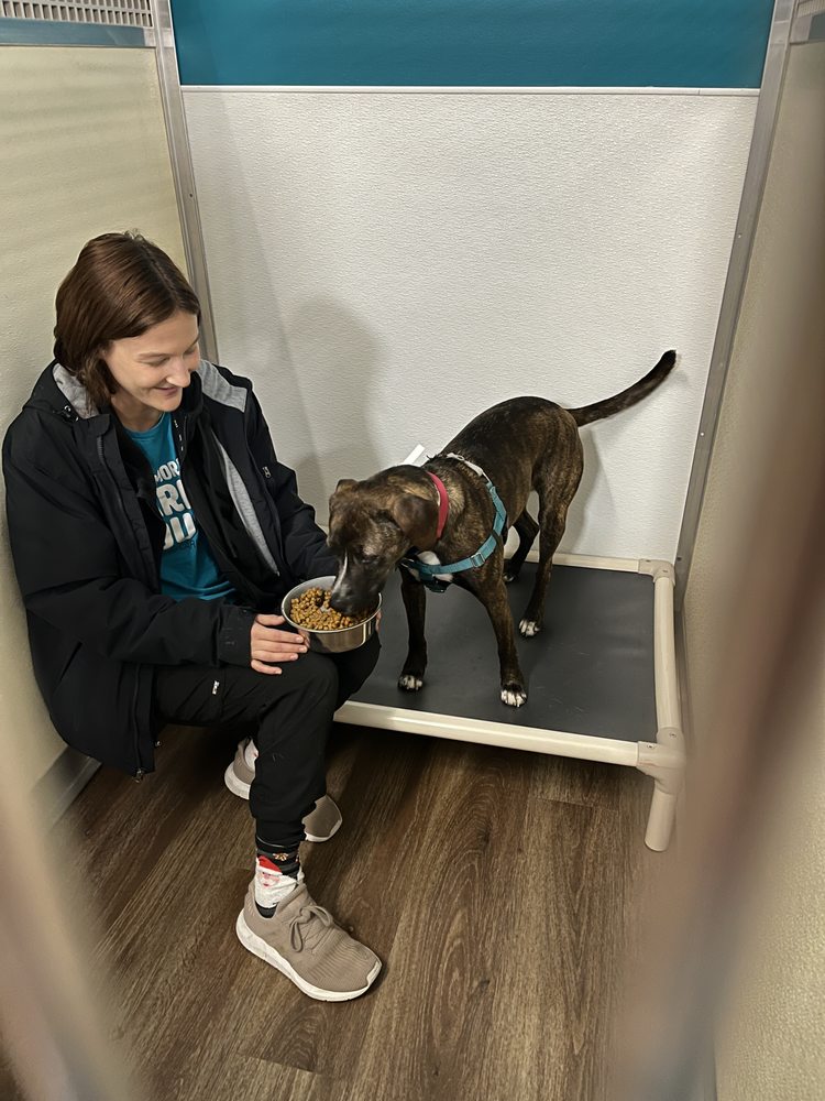 BALTIMORE BARK HOUSE - Updated December 2025 - 41 Photos - 3842 E ...