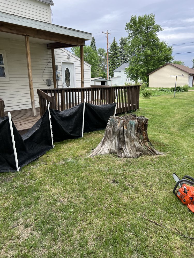 B&R STUMP REMOVAL - Updated June 2025 - Request a Quote - 11 Photos ...