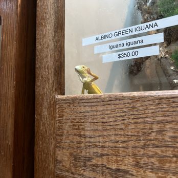 EAST BAY VIVARIUM - Updated April 2025 - 648 Photos & 604 Reviews ...