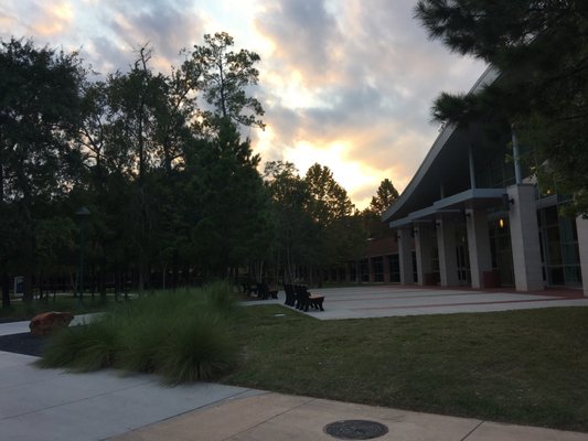 LONE STAR COLLEGE - MONTGOMERY - Updated December 2025 - 18 Photos & 19 ...