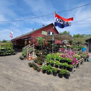 ITHACA AGWAY & TRUE VALUE - Updated June 2025 - 13 Reviews - 213 S ...