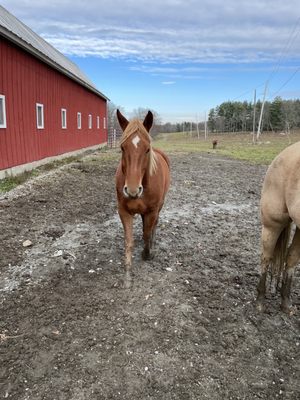 POND HILL RANCH - Updated December 2025 - 14 Photos & 10 Reviews - 1683 ...