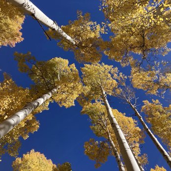 ASPEN NATURE LOOP - Updated December 2025 - 55 Photos & 18 Reviews ...