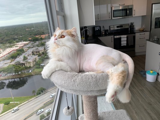 A COUNTRY CAT HOUSE - Updated February 2025 - 46 Photos & 48 Reviews ...