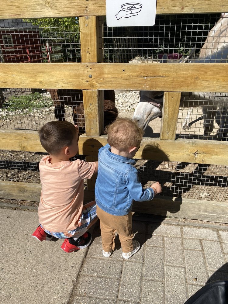 RANDALL OAKS ZOO - Updated September 2025 - 152 Photos & 40 Reviews ...