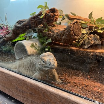 EAST BAY VIVARIUM - Updated July 2024 - 592 Photos & 573 Reviews - 1827 ...