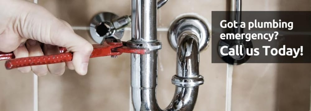 LATIN ROOTER - 372 Rideau Street, Ottawa, Ontario, Canada - Plumbing ...