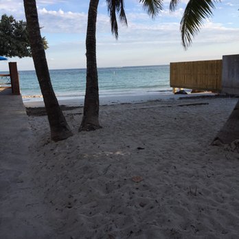 KEY WEST DOG BEACH - Updated April 2025 - 38 Photos & 25 Reviews ...