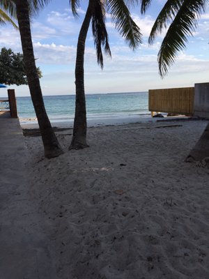 KEY WEST DOG BEACH - 30 Photos & 20 Reviews - Beaches - Vernon St And ...