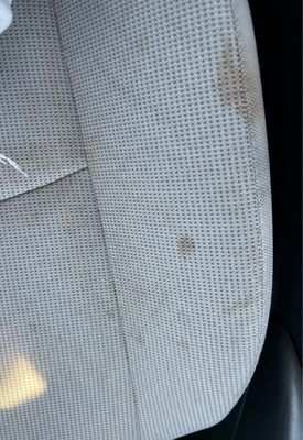 ACE RENT A CAR - Updated January 2026 - 19 Photos & 68 Reviews - 3900 ...