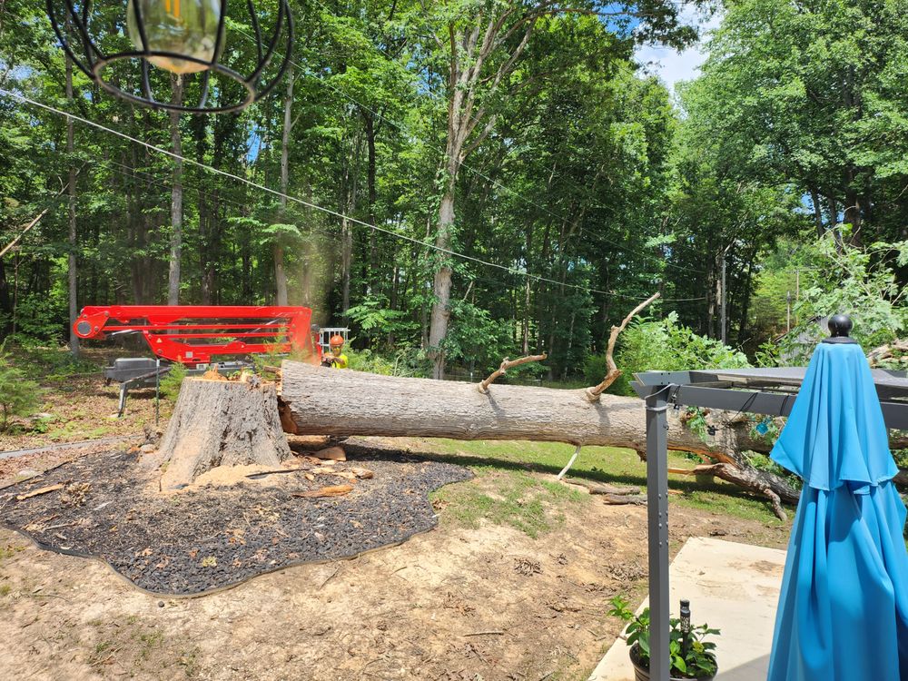 TRI-COUNTY TREE SERVICE - Updated October 2025 - 20 Photos & 14 Reviews ...