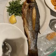 OSTERIA SAPORINO BYOB - 162 Photos & 87 Reviews - 1051 County Line Rd ...