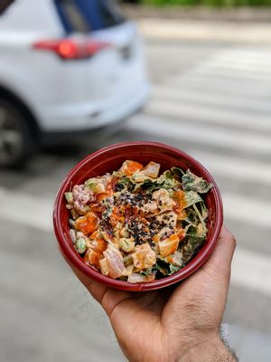 MAGURO SPOT - 1305 Photos & 903 Reviews - 2441 Kuhio Ave, Honolulu ...